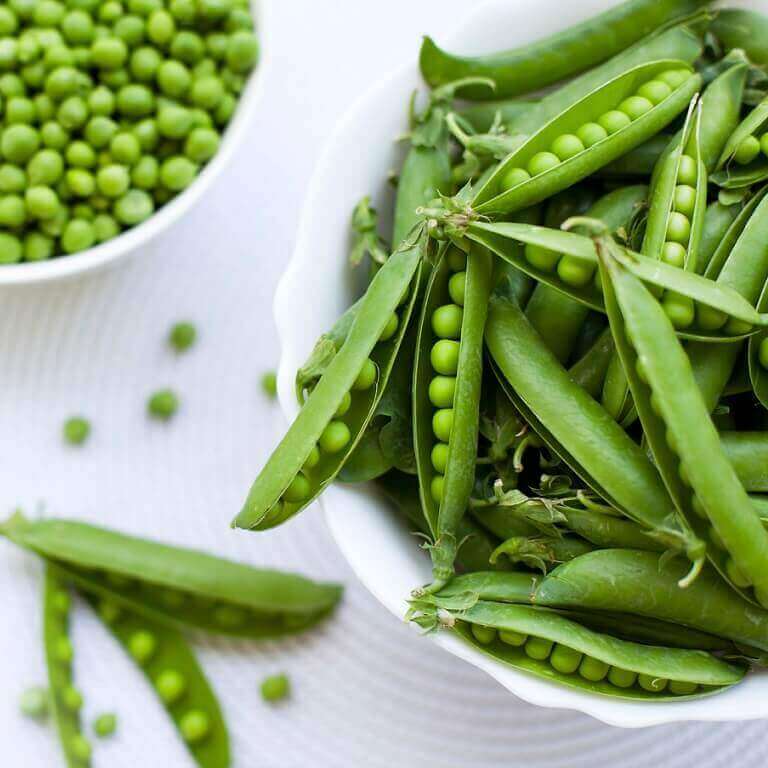 Garden Peas Seed Collection 2014 | OSC Seeds