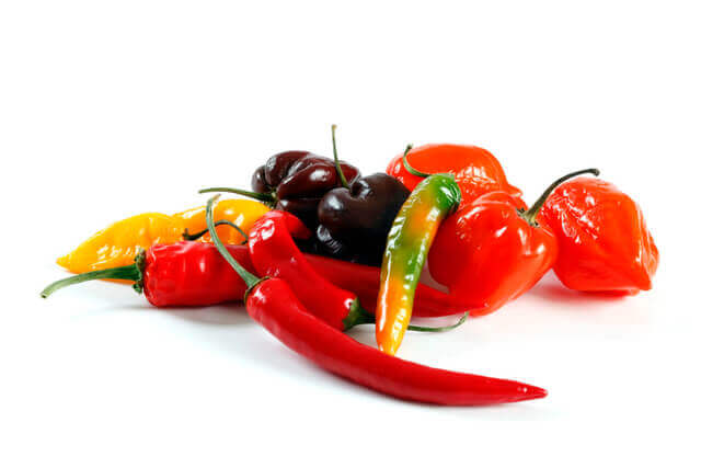 Hot Peppers Seed Collection 1947 | OSC Seeds
