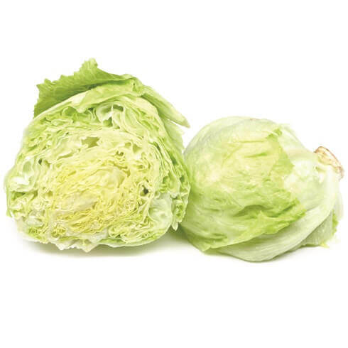 Iceberg Lettuce Seeds (Crisphead Type) 1775 | OSC Seeds