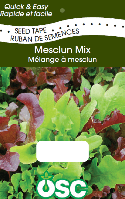 Mesclun Mixture Seed Tape 1012 | OSC Seeds