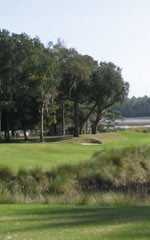 Tableland Prairie Grass Native Seed Mixture 8155 | OSC Seeds