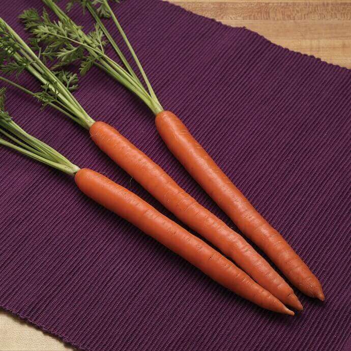 Triton Hybrid Carrot Seeds 1371 | OSC Seeds