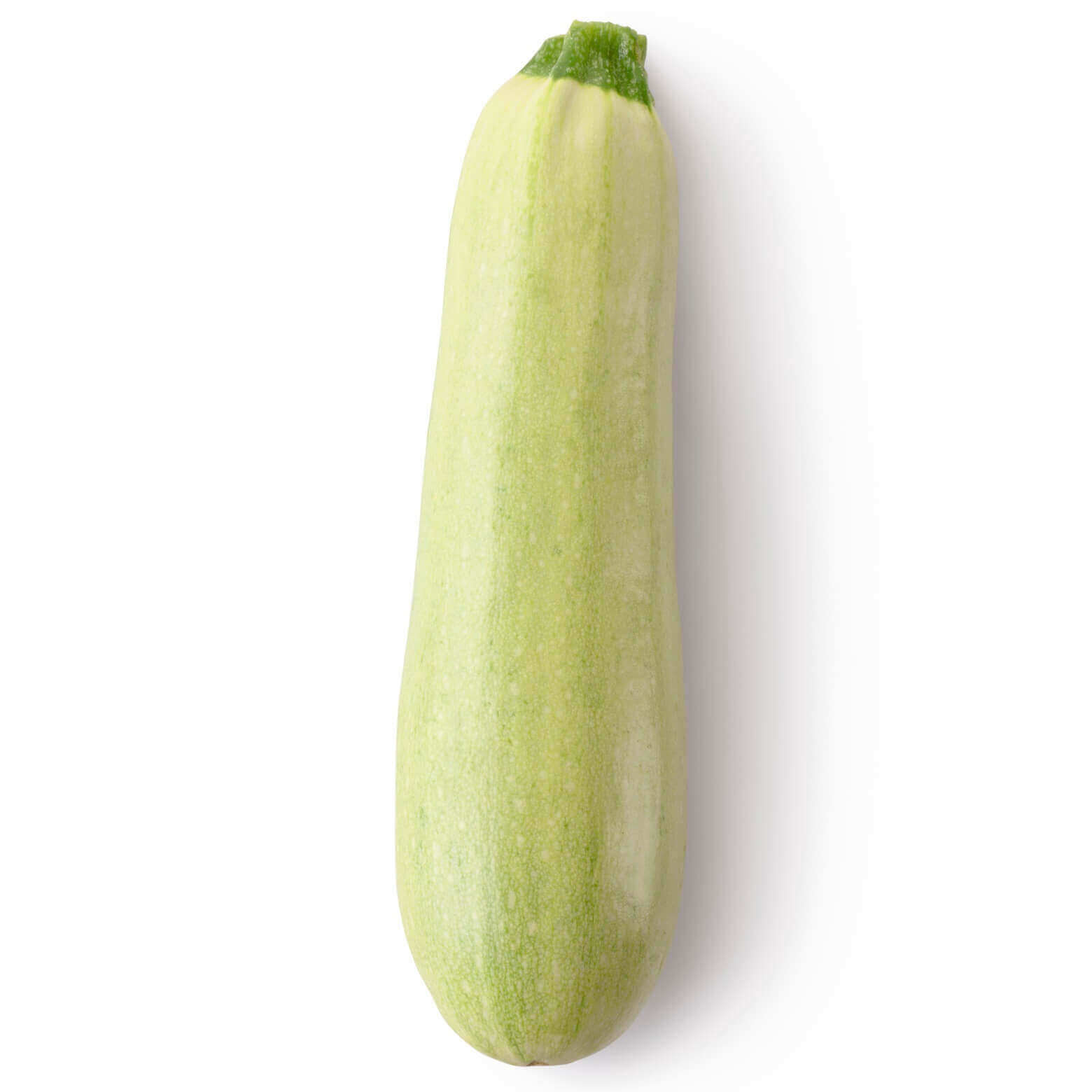 Vegetable Marrow Squash Seeds 2240 | OSC Seeds