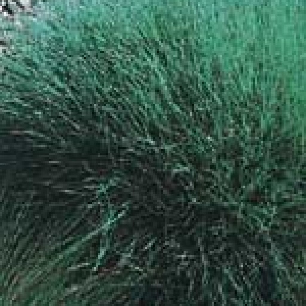Tree & Ornamental Grass Seeds Archives | OSC Seeds