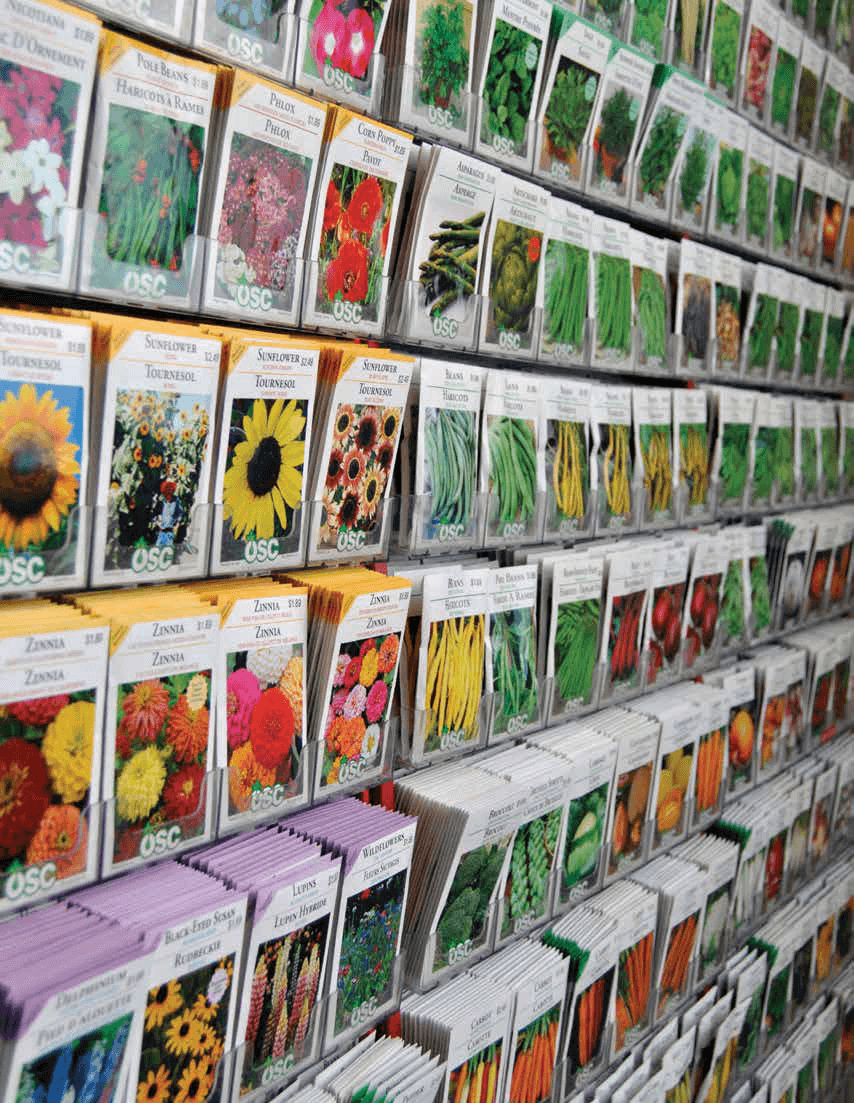 Quality Control - how do we ensure the quality of our seeds? | OSC Seeds