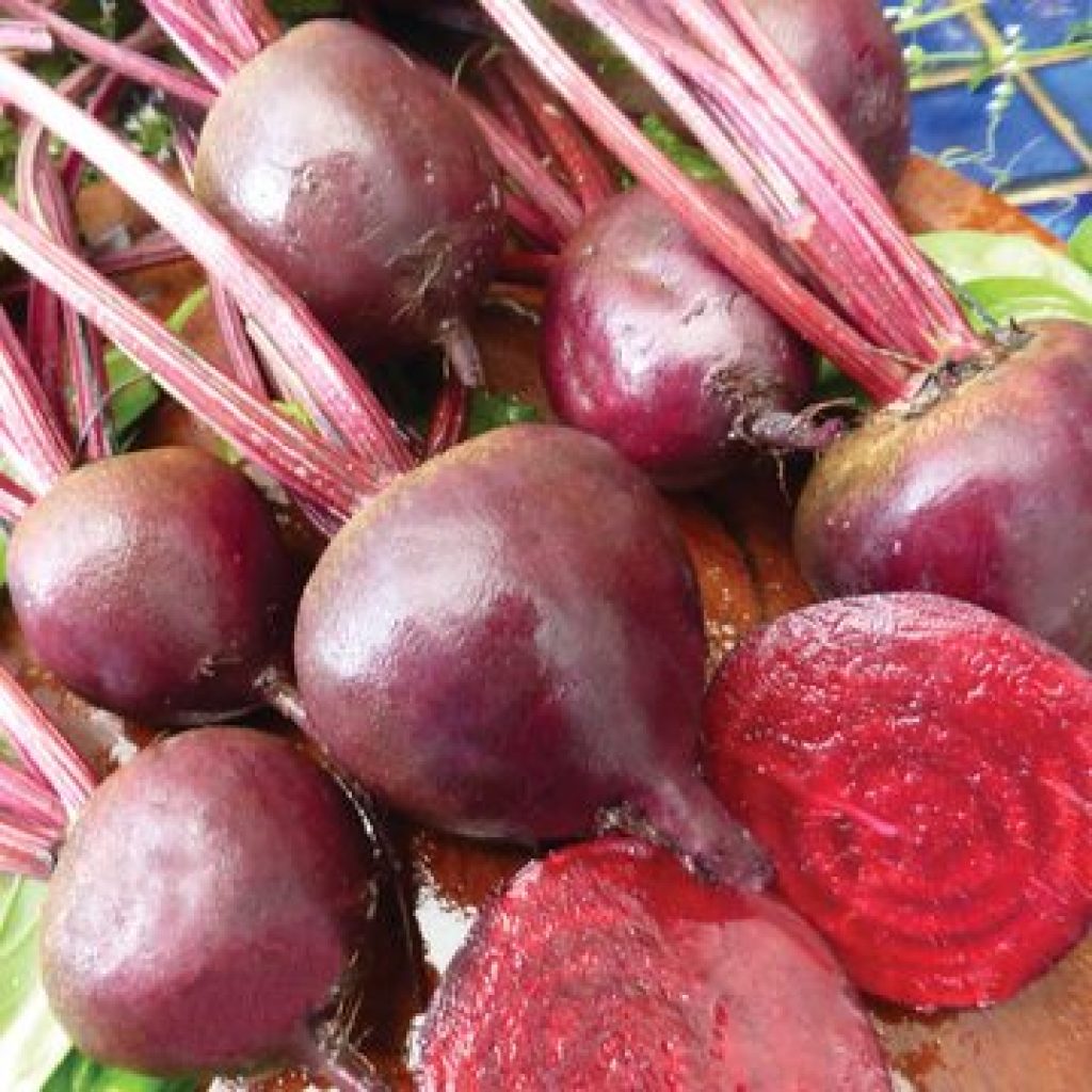 Aimers International Vegetable Seeds | OSC Seeds