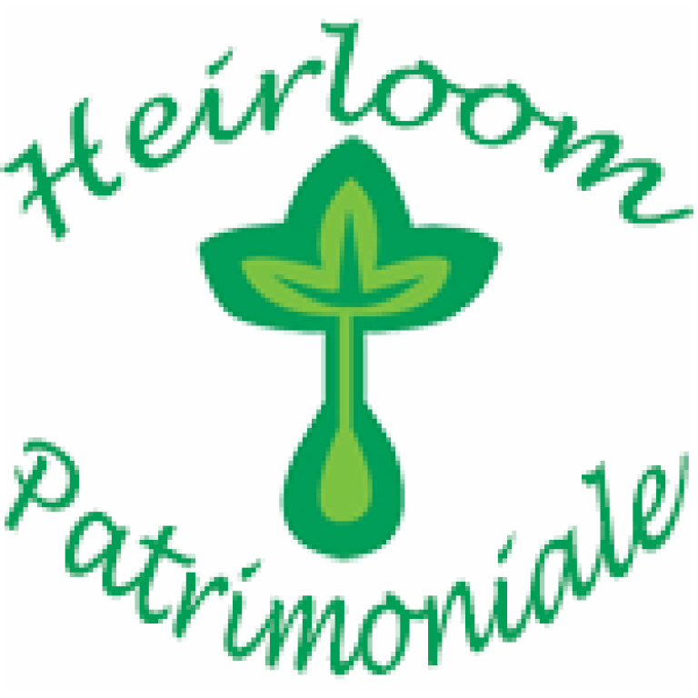 Early Wonder Beet Seeds 1265 | OSC Seeds