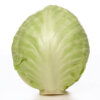 Cabbage Seeds | OSC Seeds