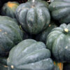 Table Queen Squash Seeds (Winter Type) 2290 | OSC Seeds