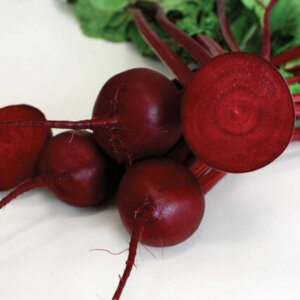 Robin Hybrid Baby Beet Seeds (Aimers International) 2740 | OSC Seeds