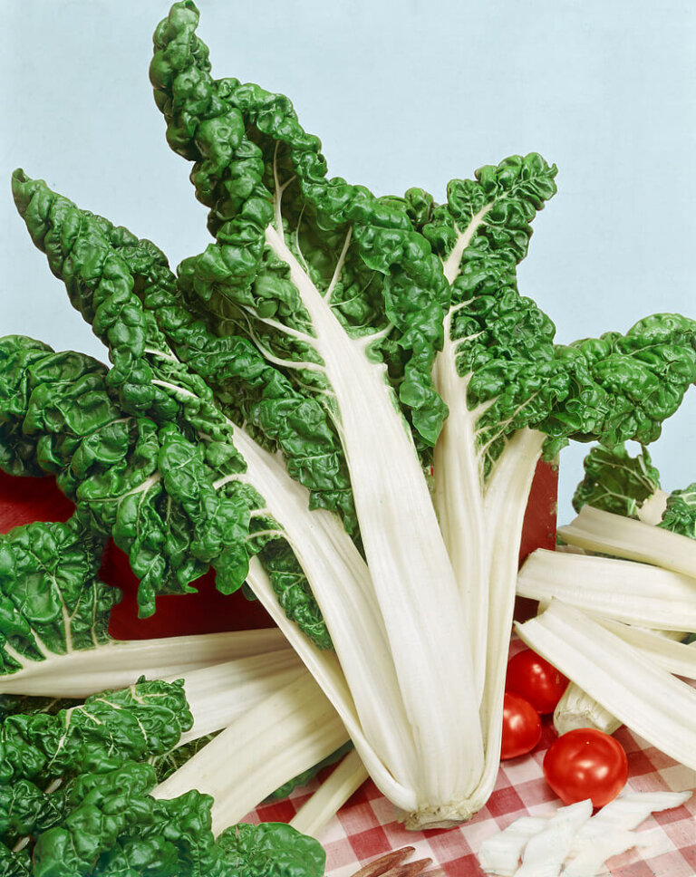 Fordhook Giant Swiss Chard Seeds 2175 | OSC Seeds