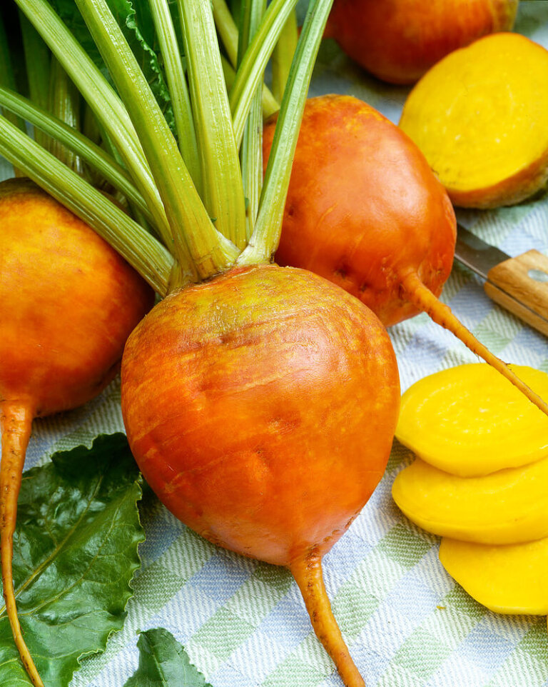 Golden Beet Seeds 1270 | OSC Seeds