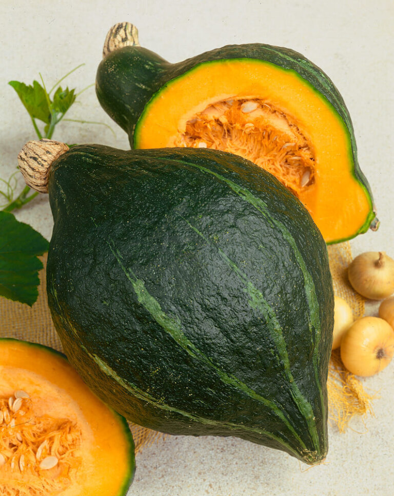 Green Hubbard Squash Seeds (Winter Type) 2265 | OSC Seeds