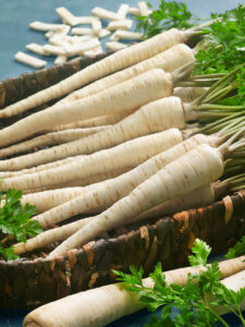 Hamburg Root Parsley Seeds 1870 | OSC Seeds
