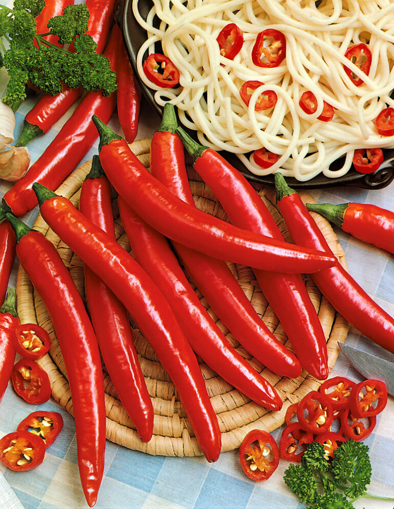 Long Red Cayenne Pepper Seeds (Hot Chili Type) 1935 | OSC Seeds