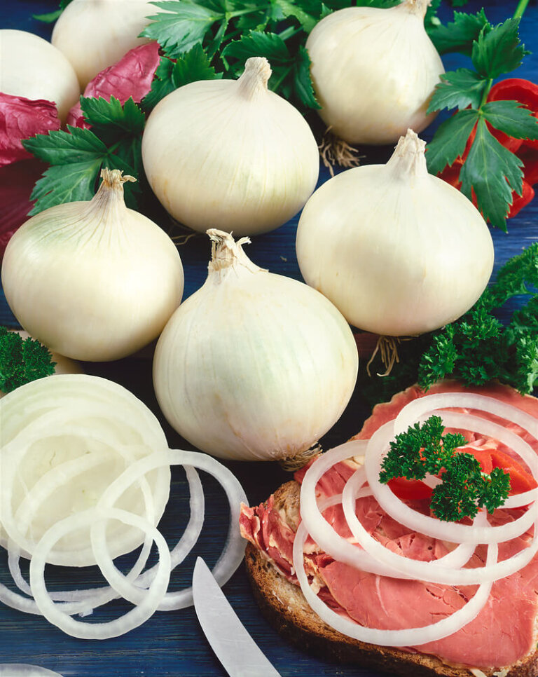 White Sweet or Spanish Onion Seeds (Large Globe Type) 1850 | OSC Seeds
