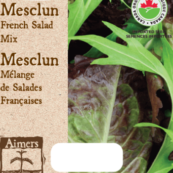 Mesclun Mixture Seeds | OSC Seeds