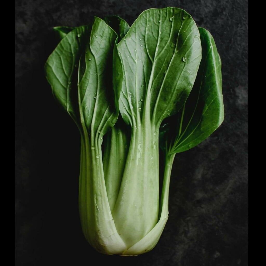 Cabbage Seeds | OSC Seeds