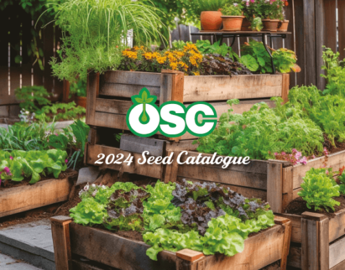 OSC Seeds | Ontario Seed Company Ltd. | Over 125 Years