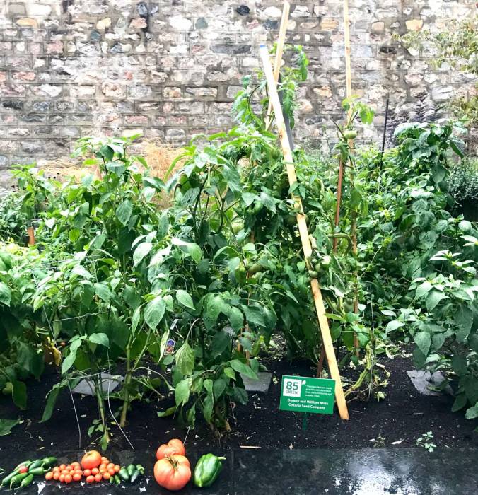 OSC Seeds | Ontario Seed Company Ltd. | Over 125 Years